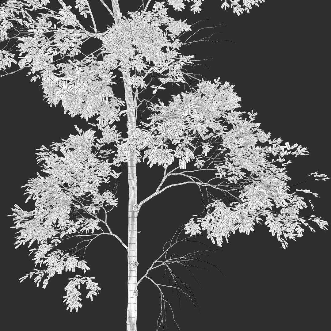 3D Ash Tree Set 02 Model - TurboSquid 1938219