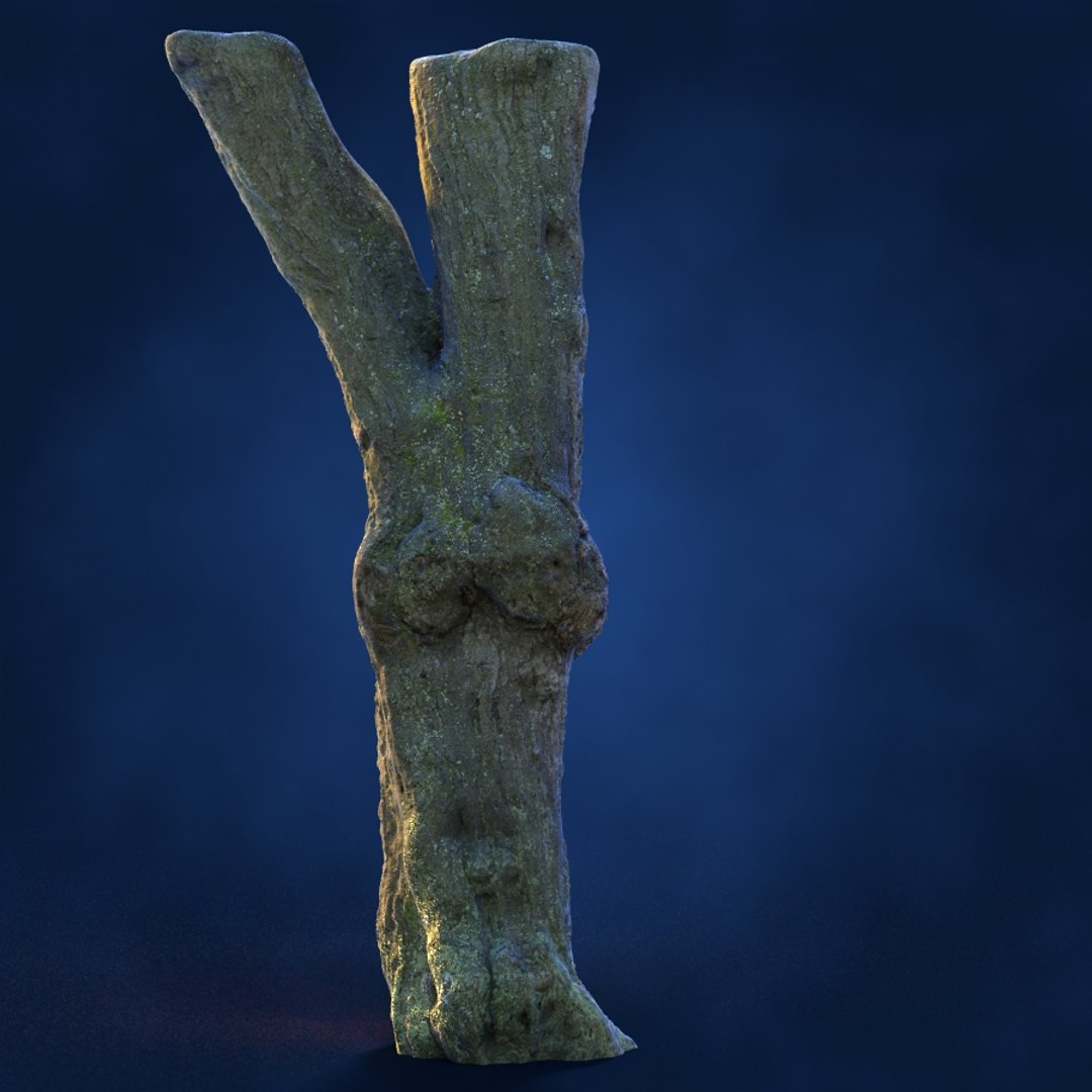 Tree Chestnut Trunk 3d Model