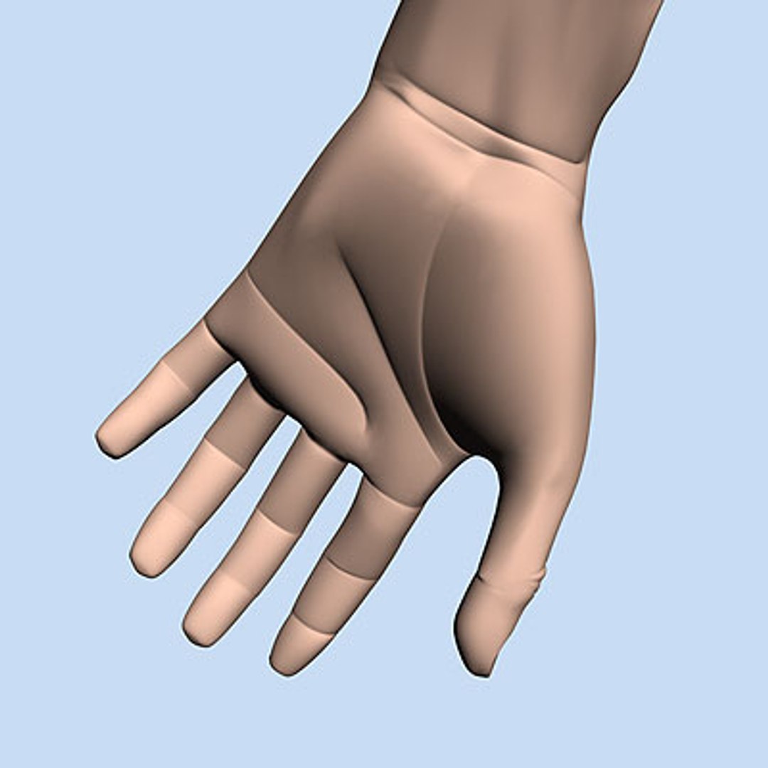 character hand 3d model