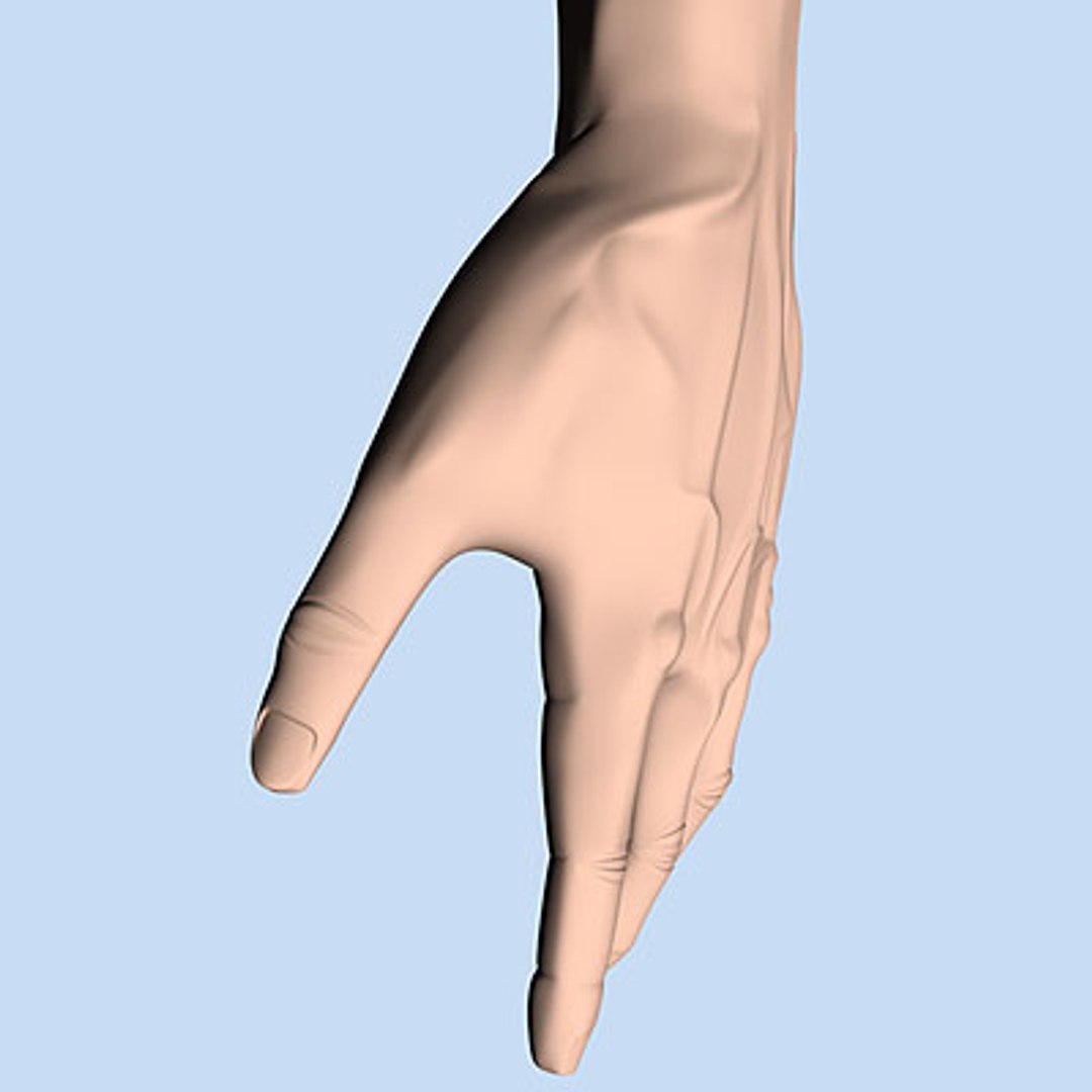 character hand 3d model