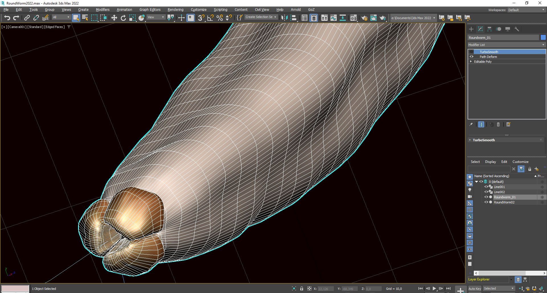 Roundworm 3d Model Turbosquid 1909365