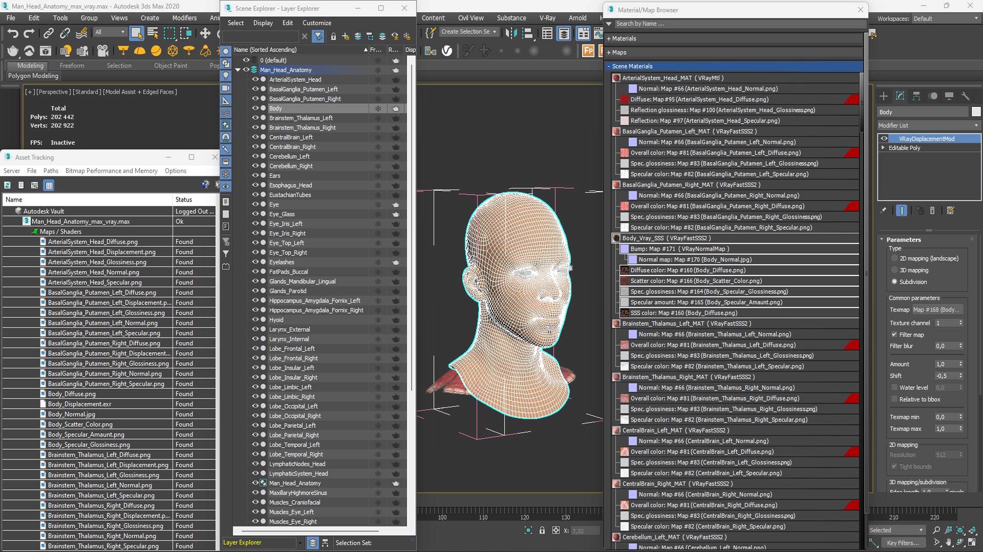 Man Head Anatomy 3D - TurboSquid 2286837