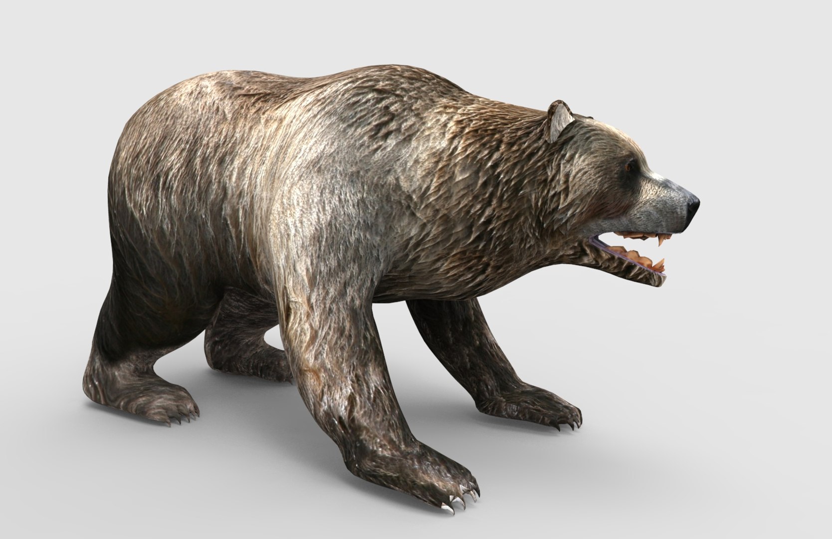 3D Bear Rigged - TurboSquid 1254600