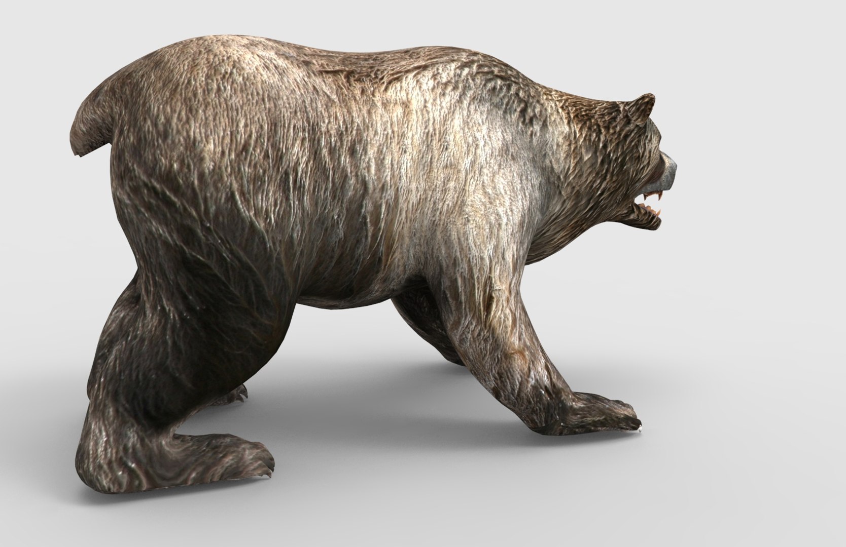 3D Bear Rigged - TurboSquid 1254600