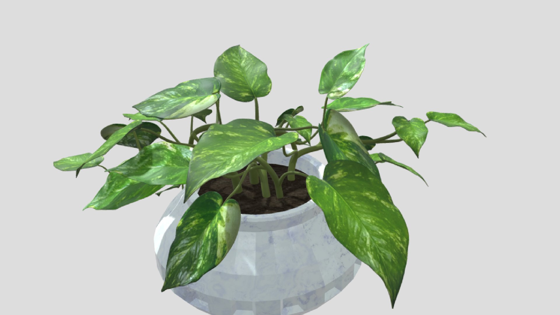 Indoor Plant 3D - TurboSquid 2079724