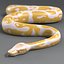 3d Max Albino Ball Python