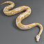 3d Max Albino Ball Python