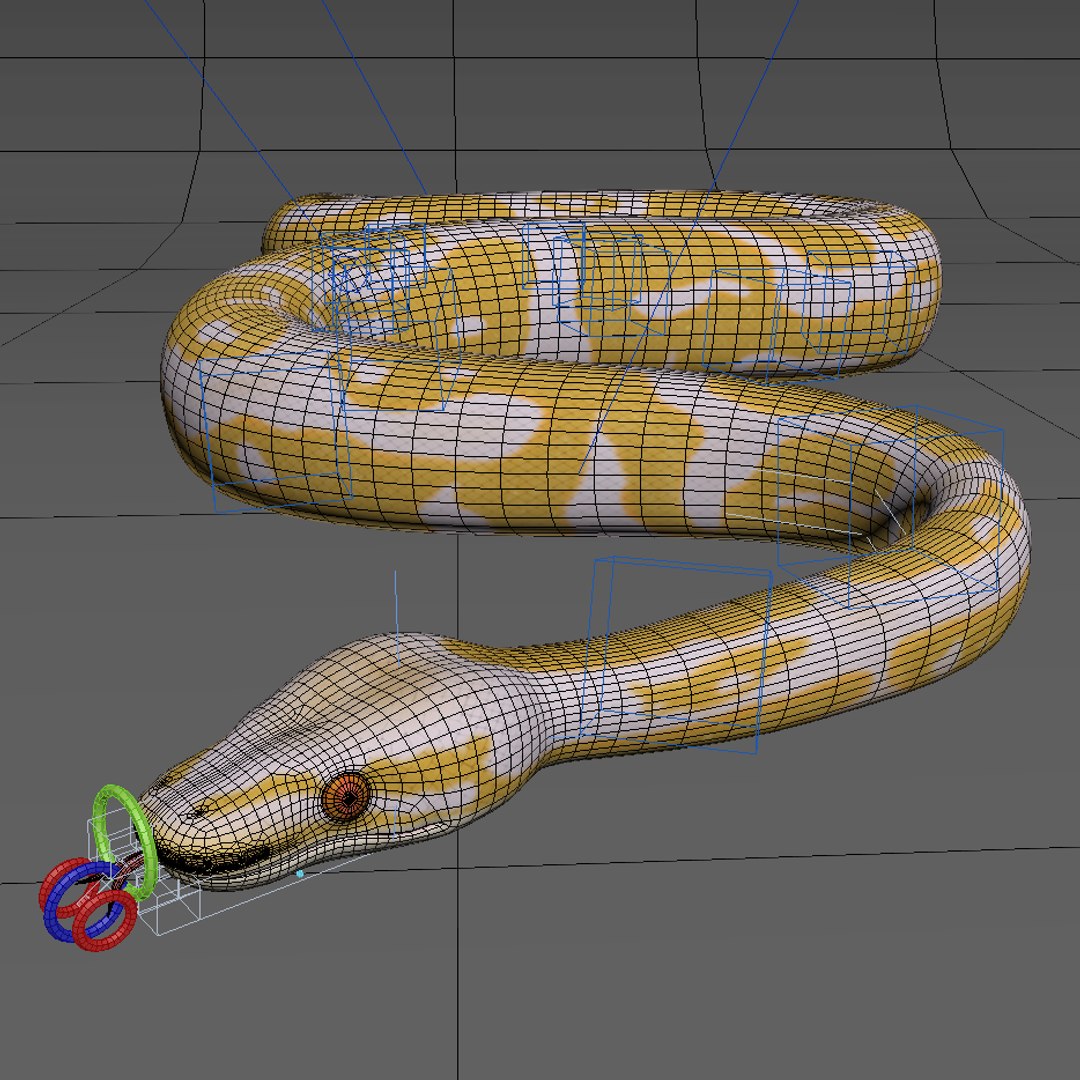 3d Max Albino Ball Python