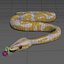 3d Max Albino Ball Python