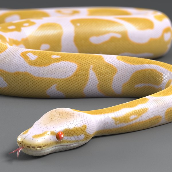 3d max albino ball python