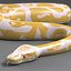 3d Max Albino Ball Python