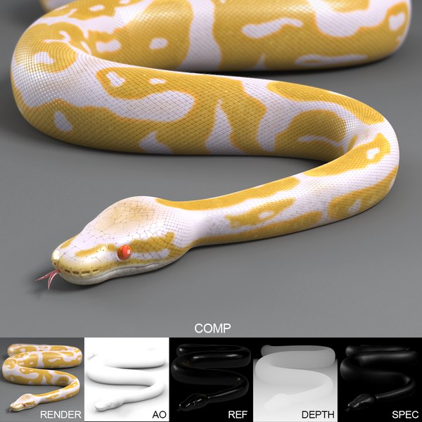 3d max albino ball python