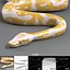 3d Max Albino Ball Python