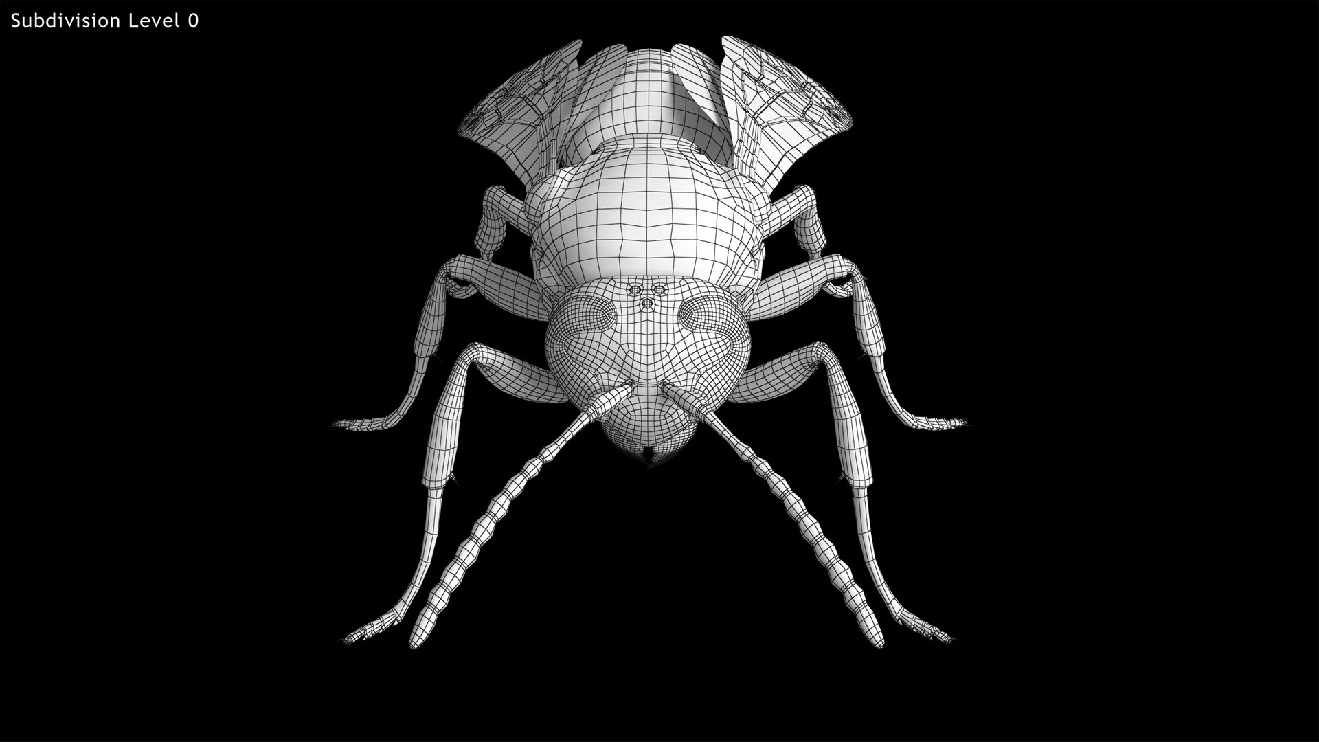 3D Wasp Vespula Germanica - TurboSquid 2230771