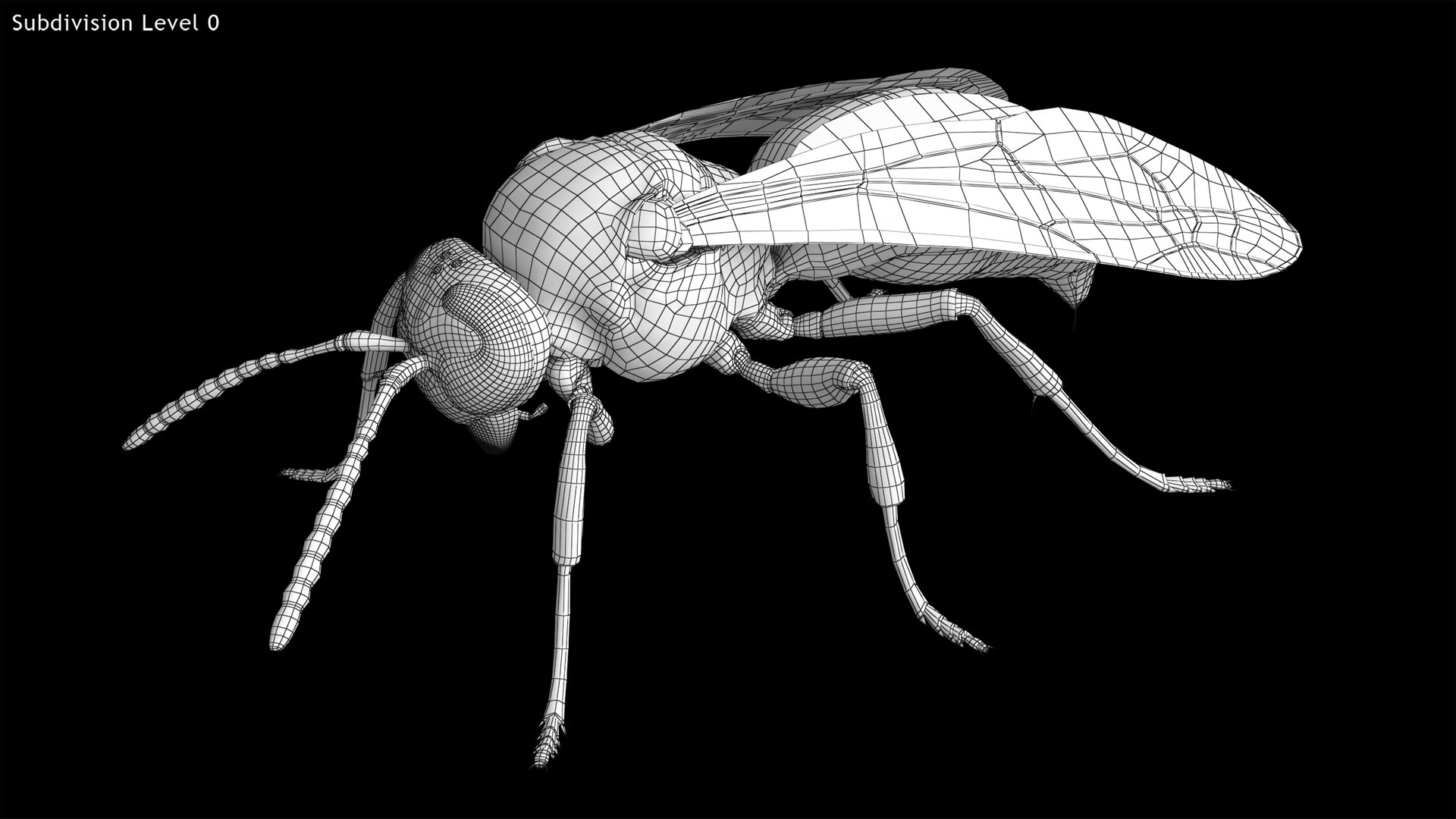 3D Wasp Vespula Germanica - TurboSquid 2230771