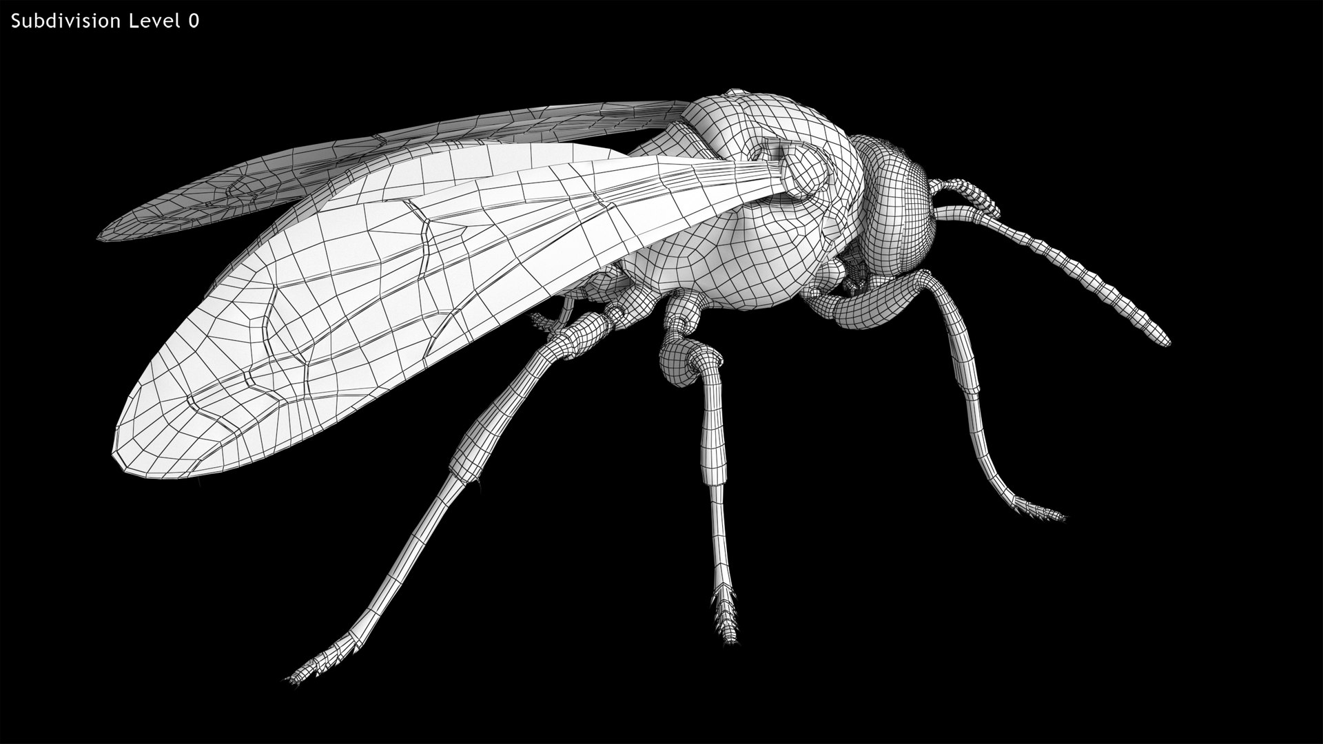 3D Wasp Vespula Germanica - TurboSquid 2230771