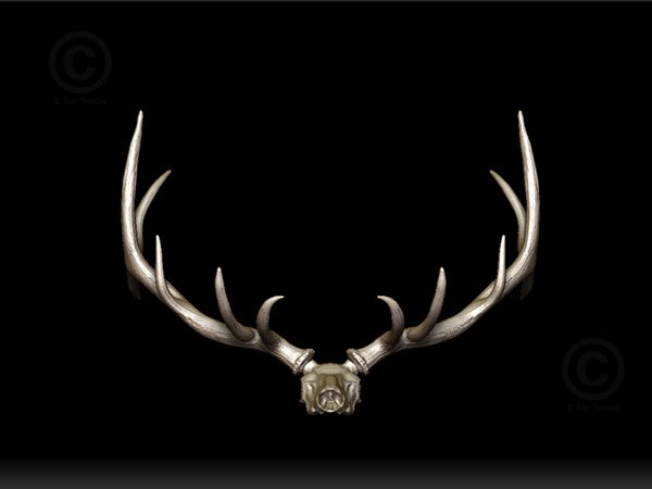 elk skull 3d obj