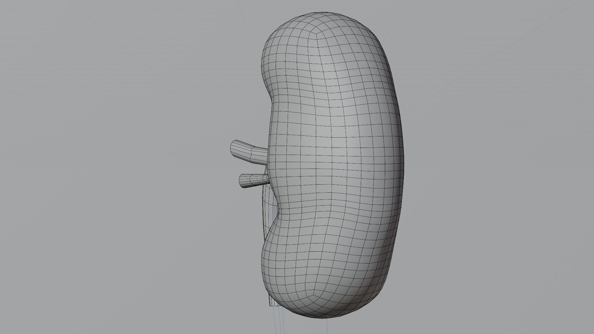 Kidney 3D - TurboSquid 2114291