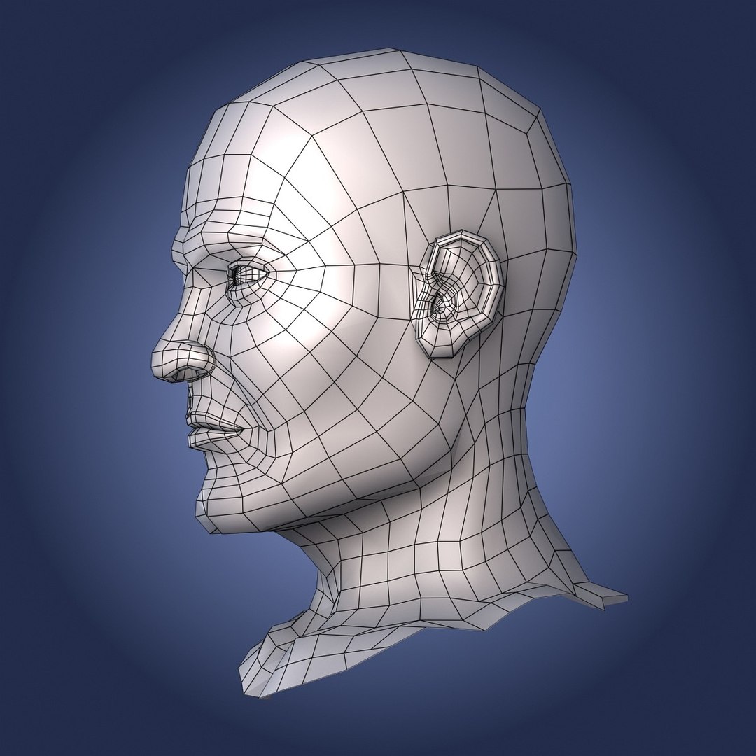 Male Head Sculpting 3d Model