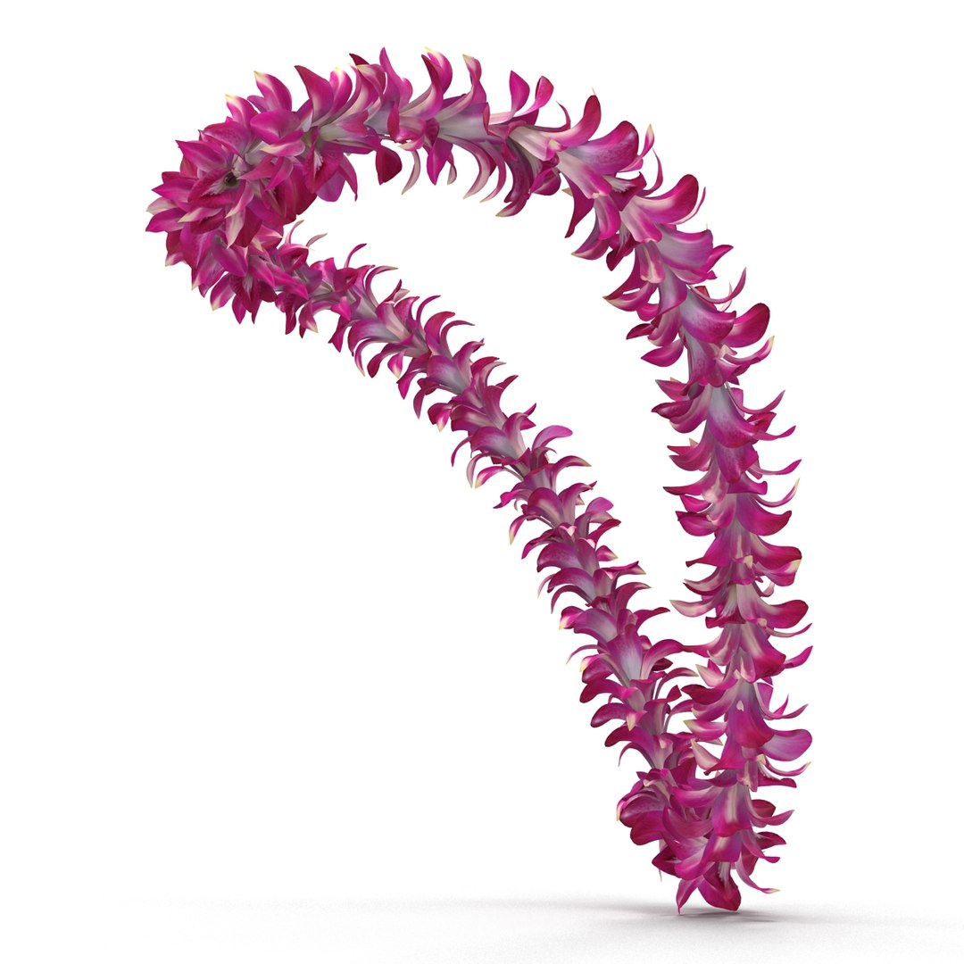 Hawaiian Lei 3d Model