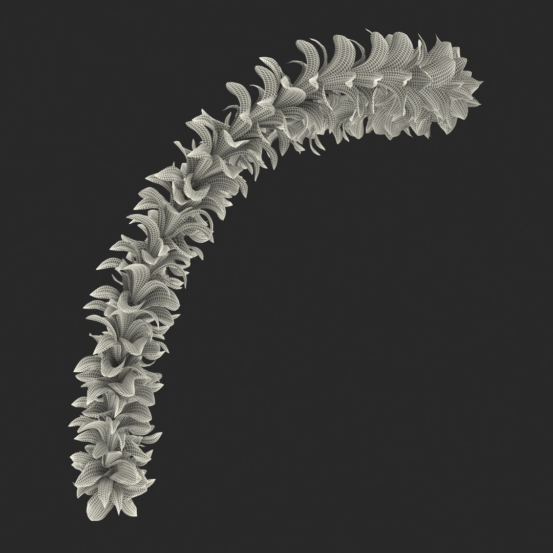 Hawaiian Lei 3d Model