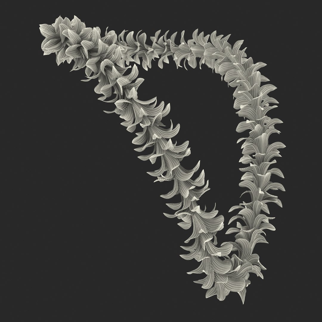 Hawaiian Lei 3d Model