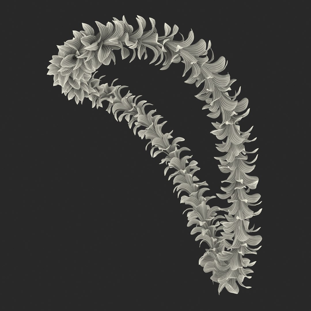 Hawaiian Lei 3d Model