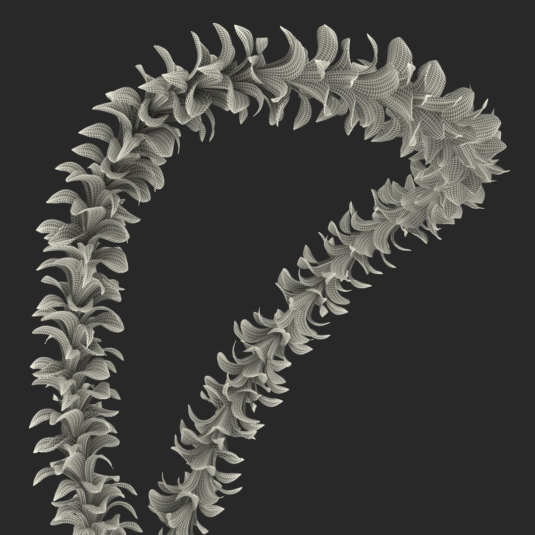 Hawaiian Lei 3d Model
