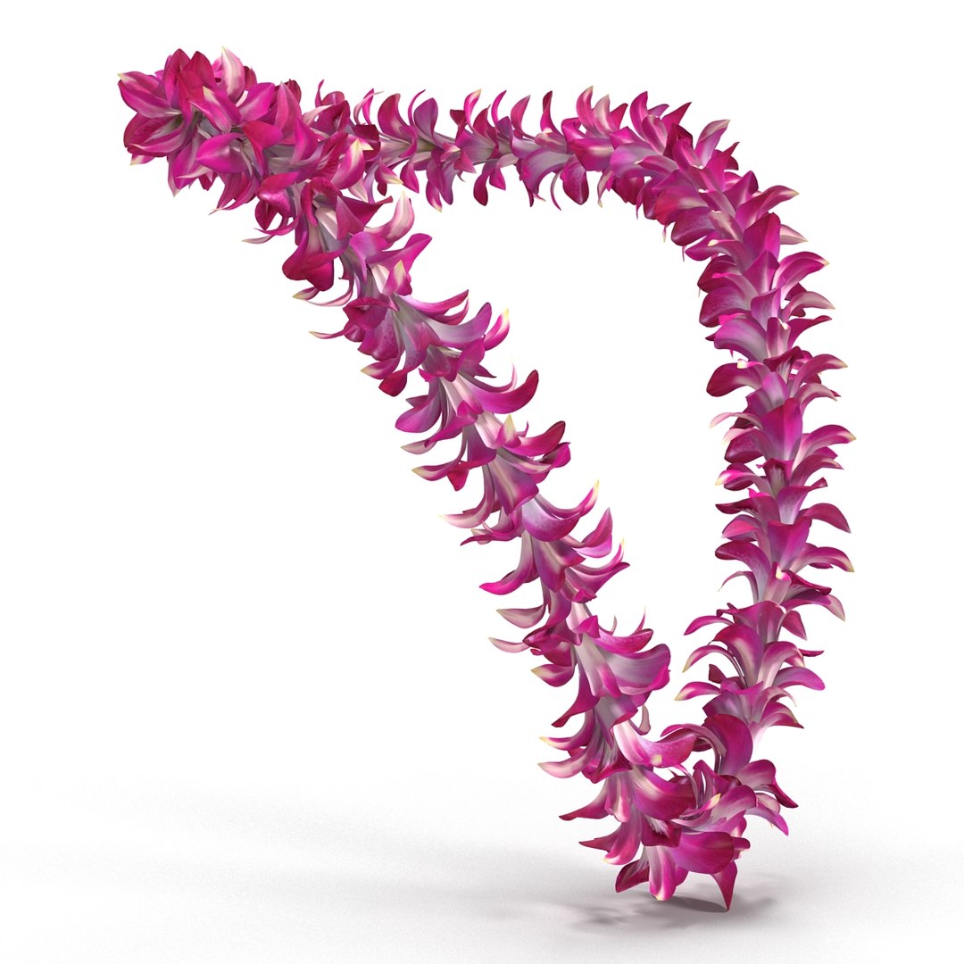 Hawaiian Lei 3d Model