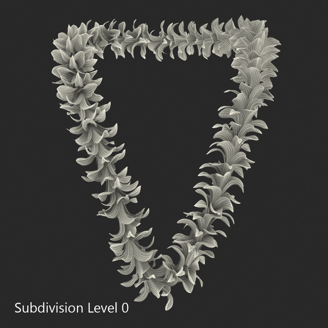Hawaiian Lei 3d Model