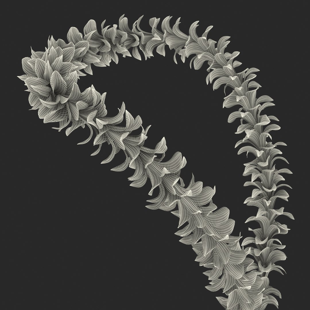 Hawaiian Lei 3d Model