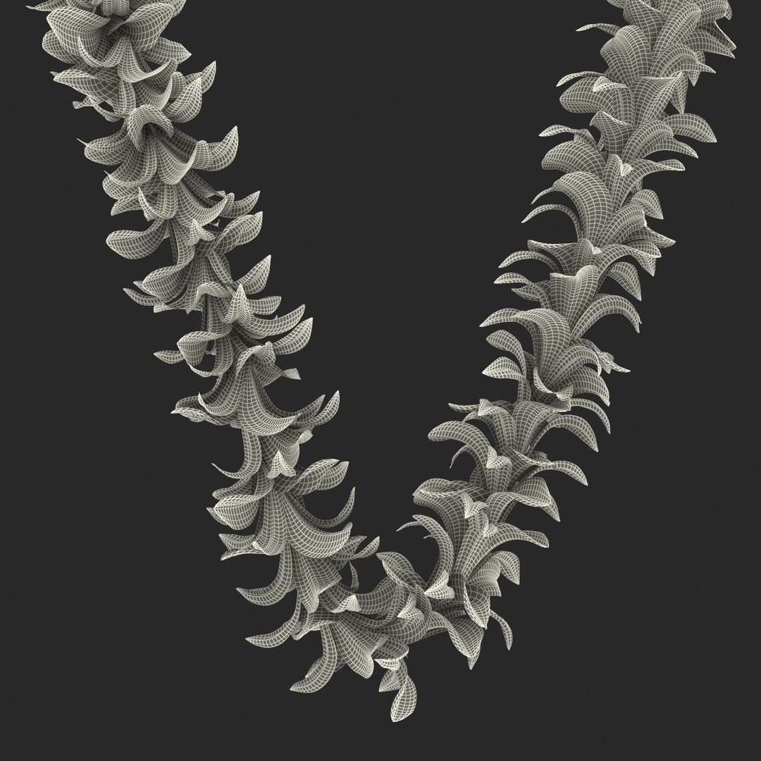 Hawaiian Lei 3d Model