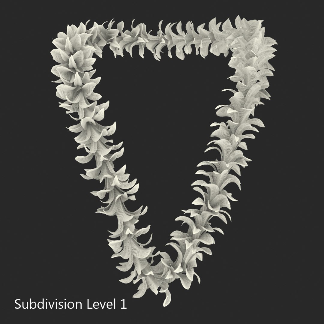 Hawaiian Lei 3d Model