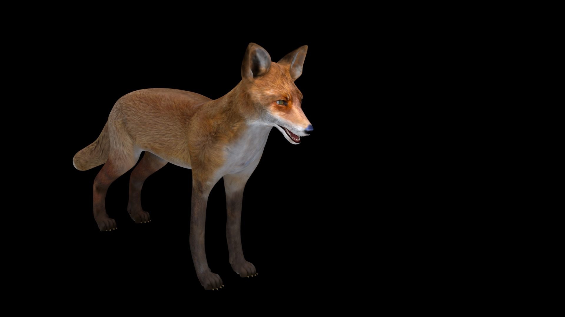 3D Fox Modelling - TurboSquid 1528175