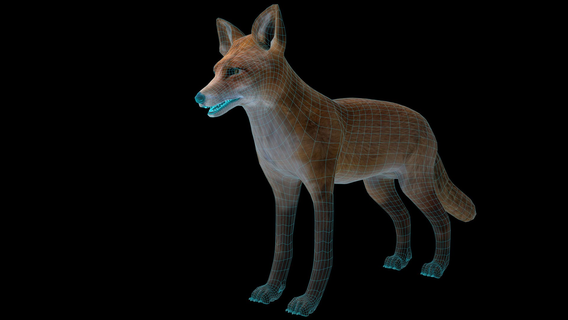 3D Fox Modelling - TurboSquid 1528175
