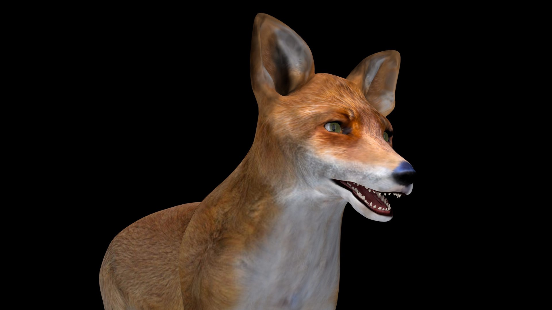 3D Fox Modelling - TurboSquid 1528175