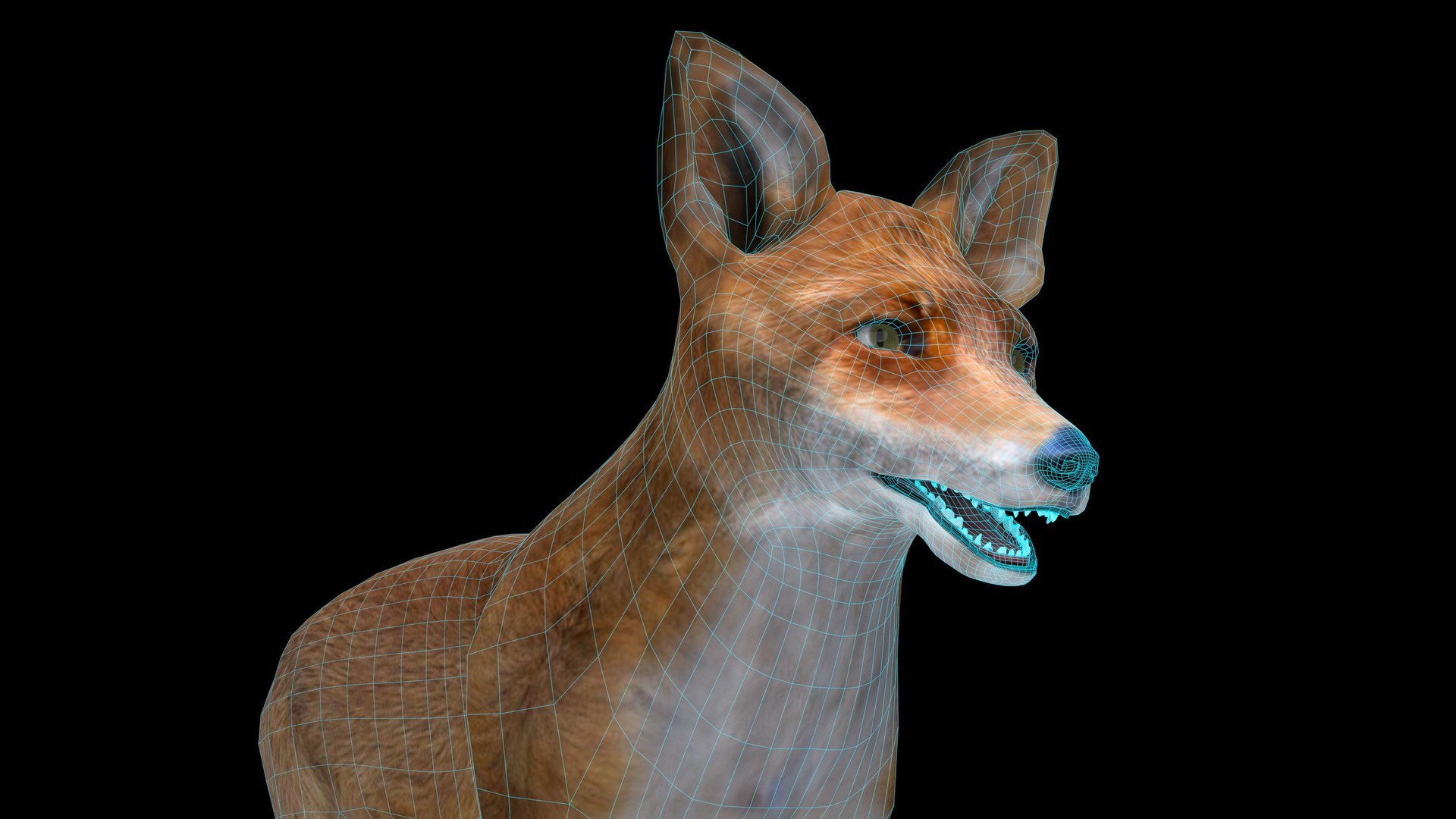3D Fox Modelling - TurboSquid 1528175