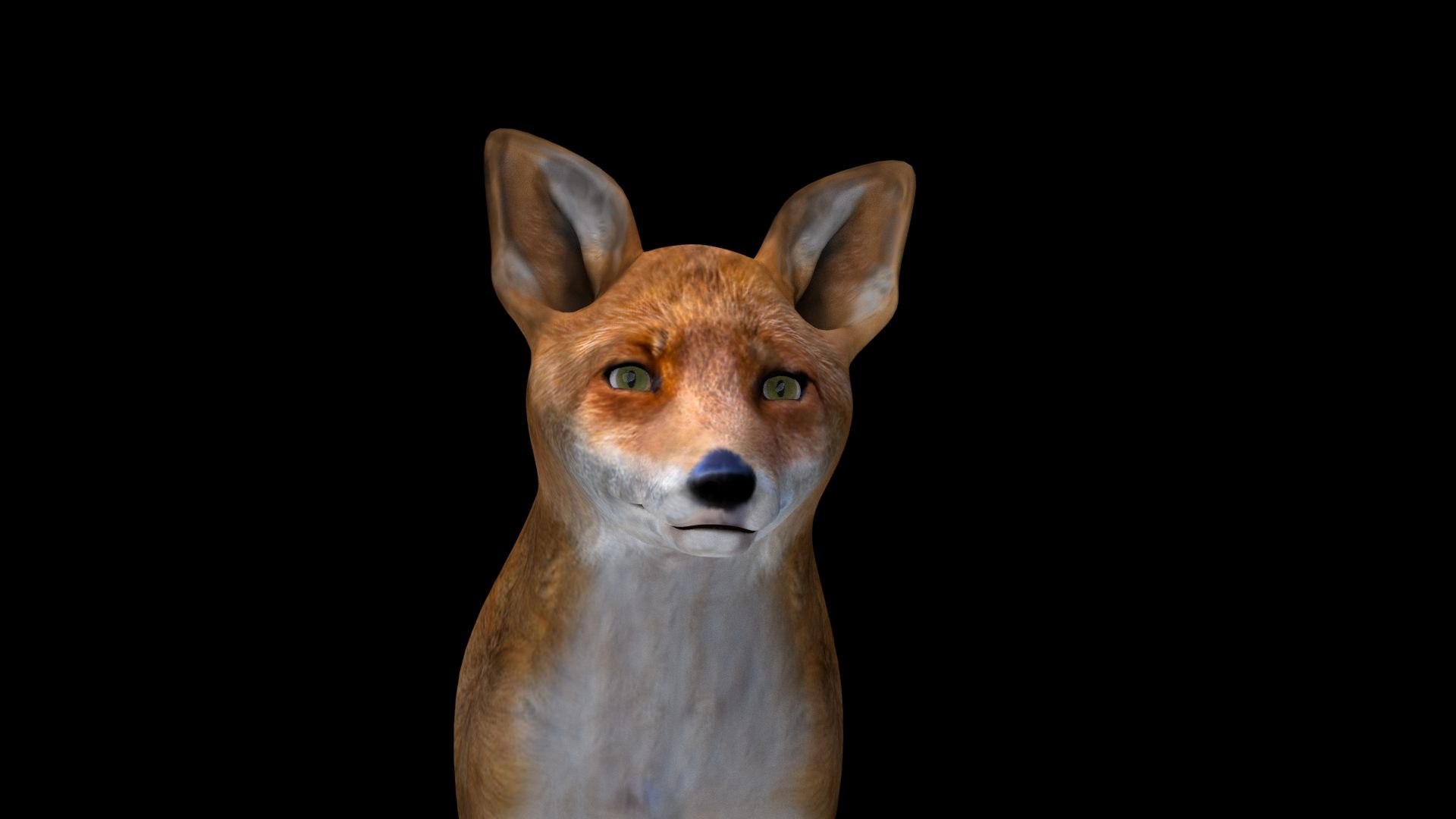 3D Fox Modelling - TurboSquid 1528175