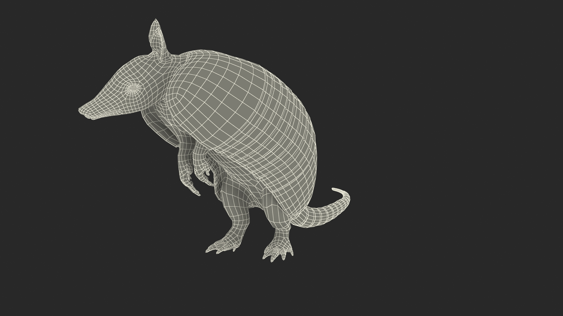 3D Armadillo In Hind Legs Pose Black - TurboSquid 2248259