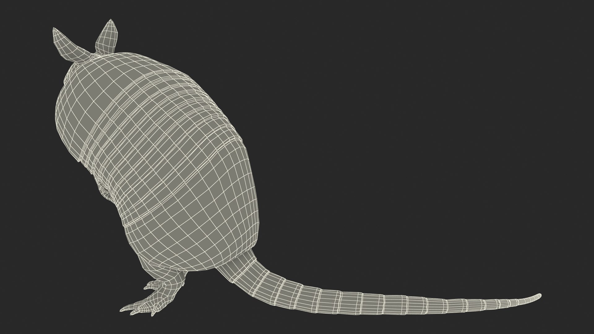 3D Armadillo In Hind Legs Pose Black - TurboSquid 2248259
