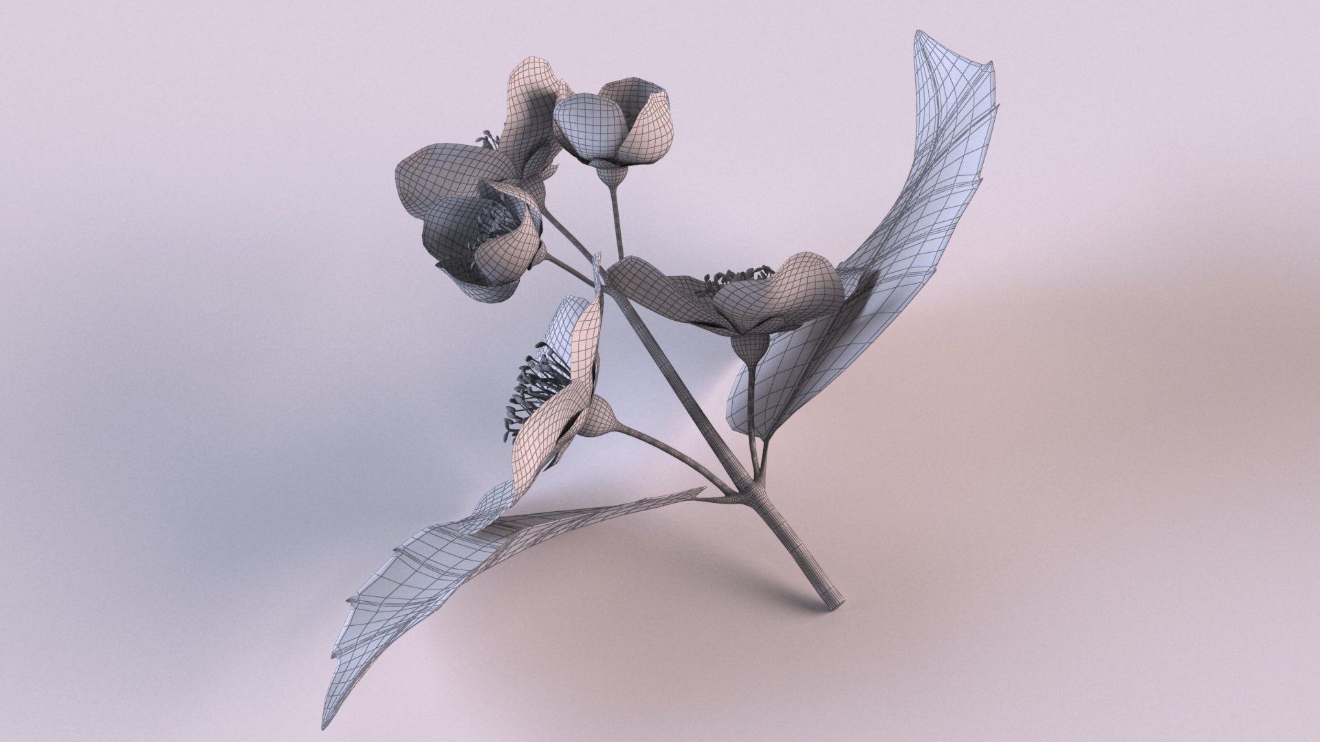 Jasmine sprig with flowers 3D model - TurboSquid 1875492