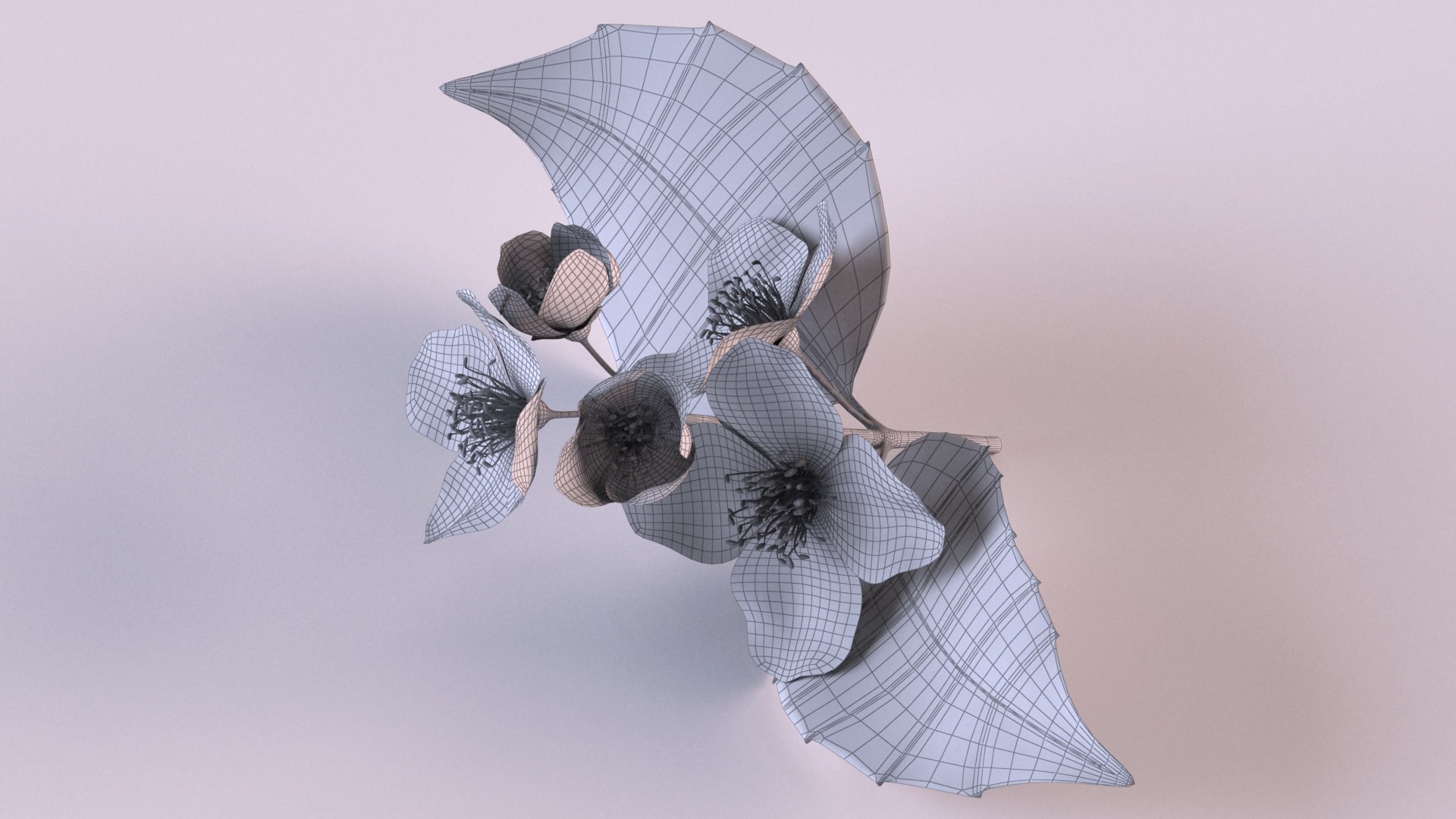 Jasmine sprig with flowers 3D model - TurboSquid 1875492
