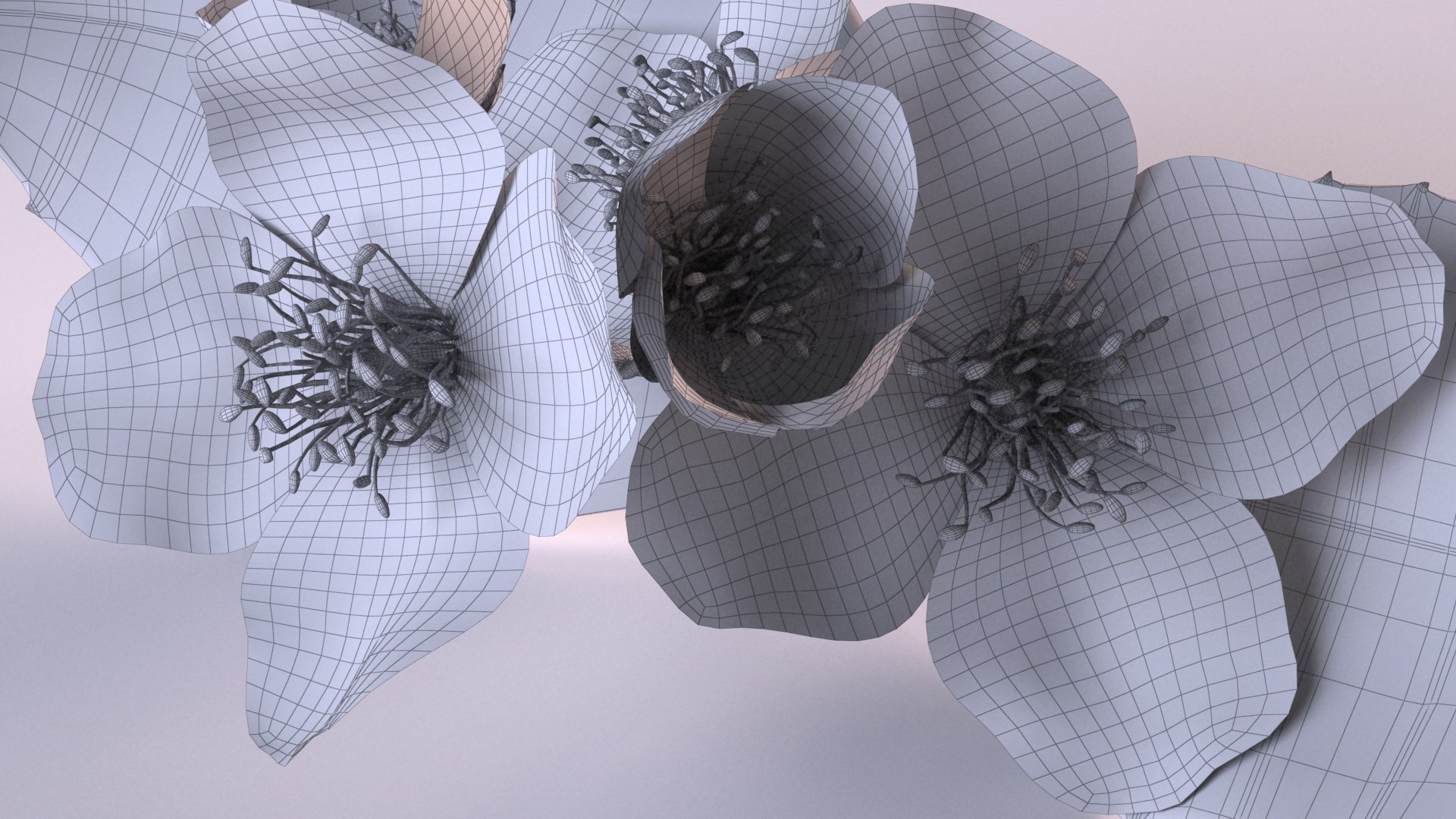 Jasmine sprig with flowers 3D model - TurboSquid 1875492