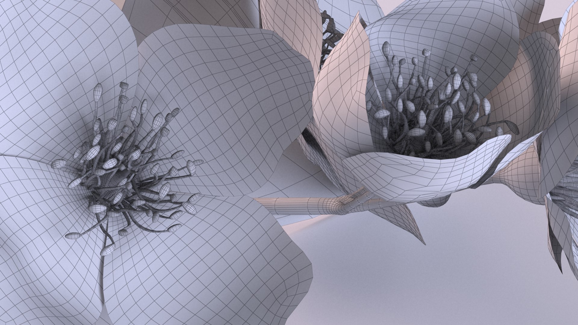 Jasmine sprig with flowers 3D model - TurboSquid 1875492