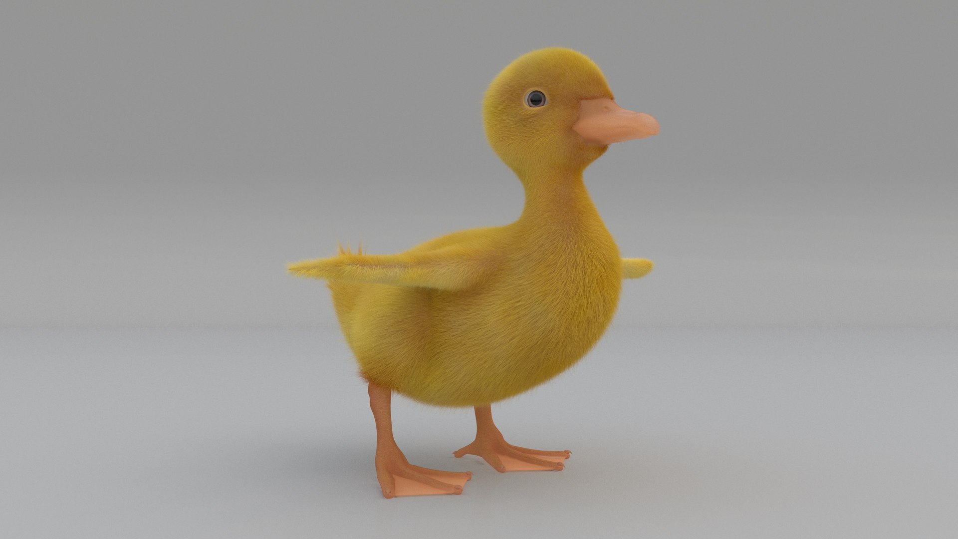 Duck Duckling FUR ANIMATED 3D Model - TurboSquid 1961967