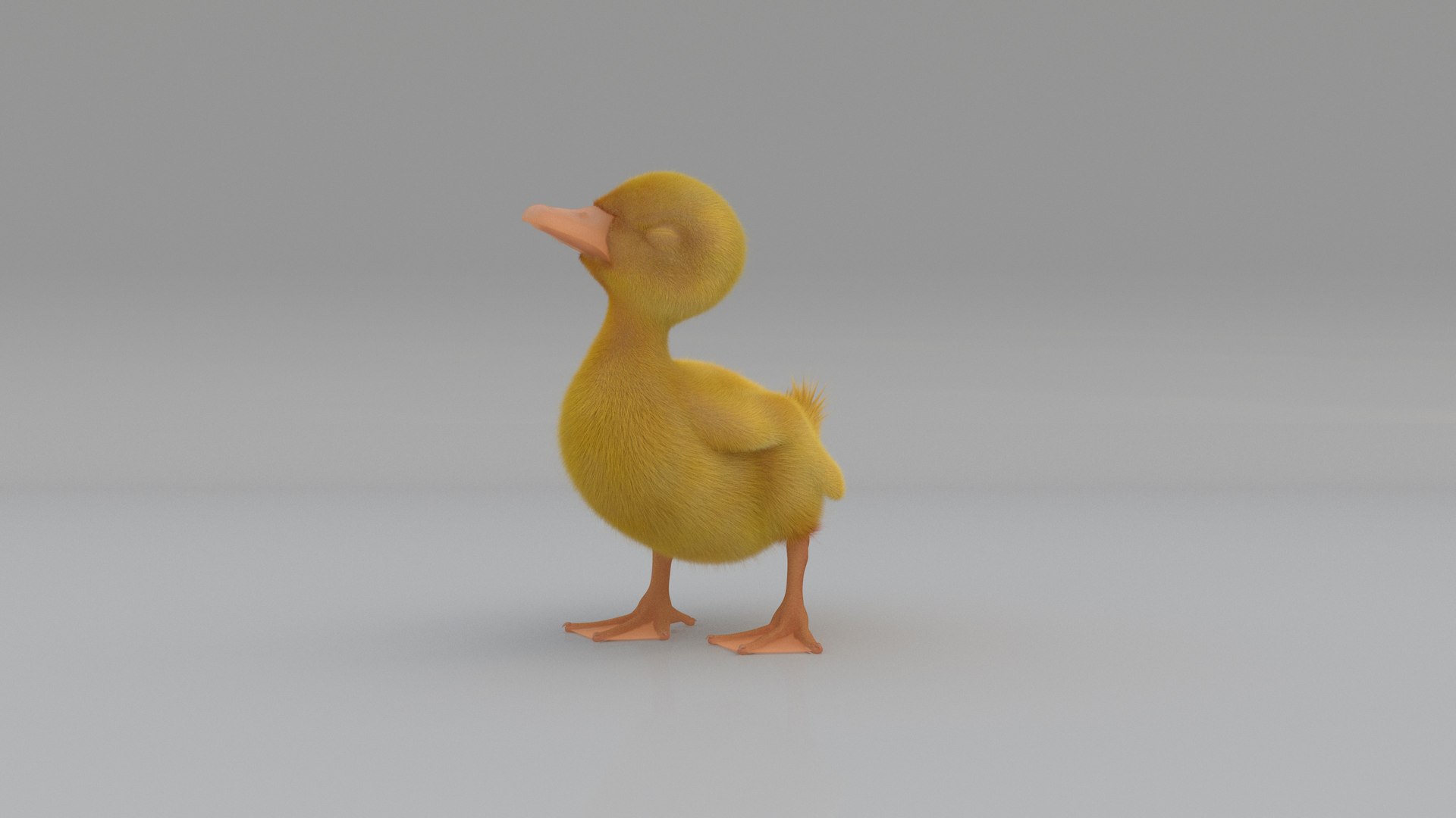 Duck Duckling FUR ANIMATED 3D Model - TurboSquid 1961967