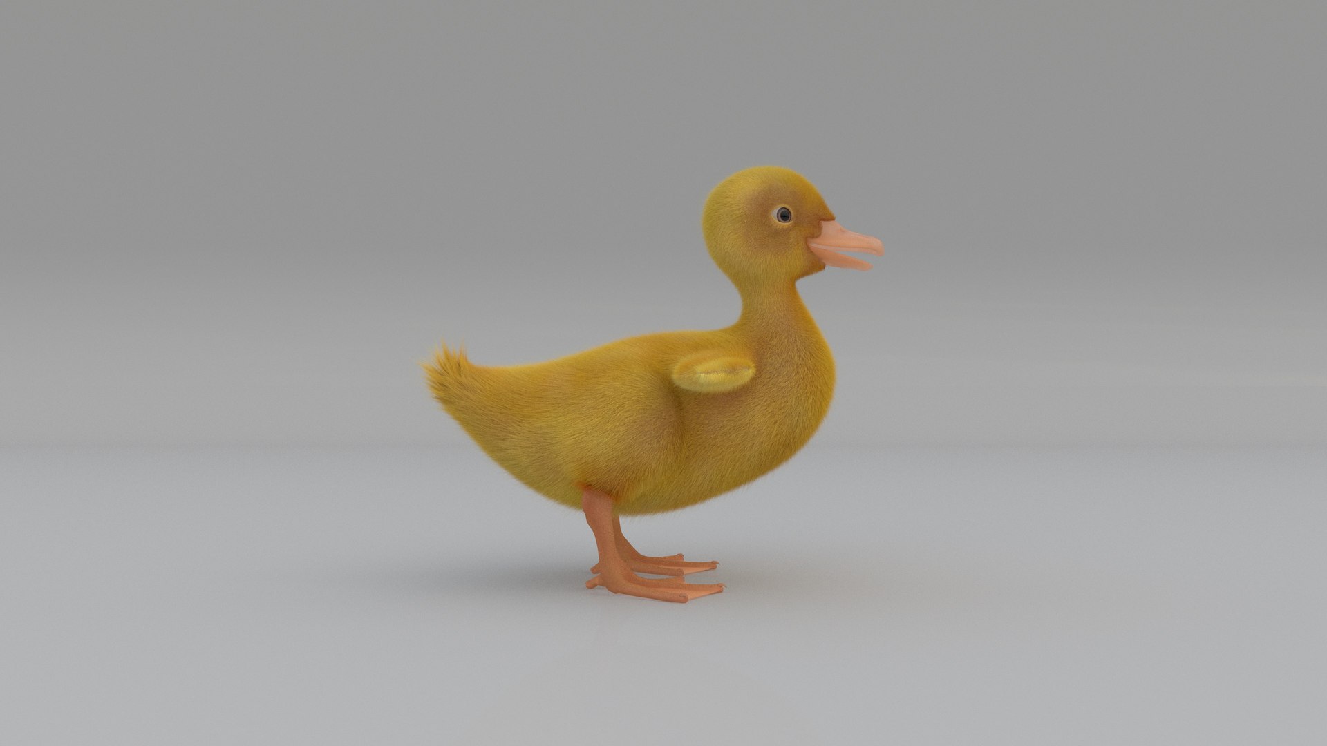 Duck Duckling FUR ANIMATED 3D Model - TurboSquid 1961967