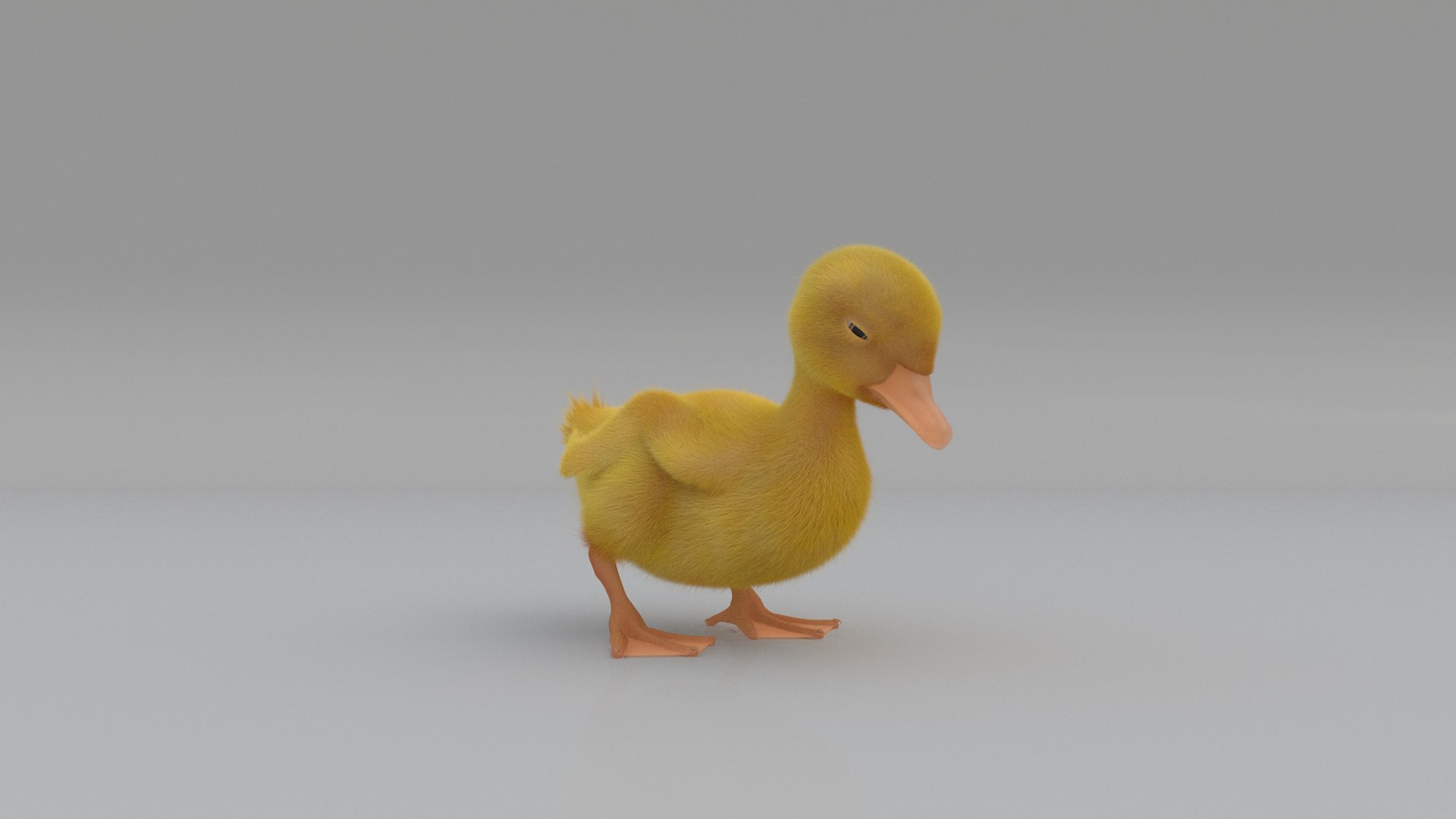 Duck Duckling FUR ANIMATED 3D Model - TurboSquid 1961967
