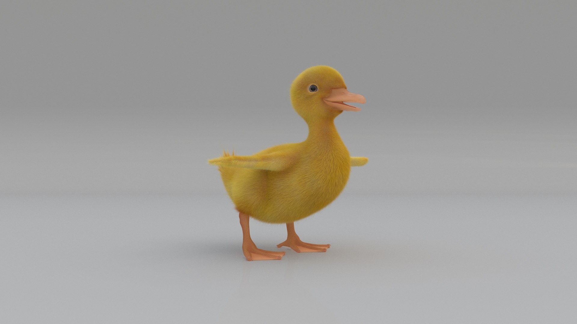 Duck Duckling FUR ANIMATED 3D Model - TurboSquid 1961967
