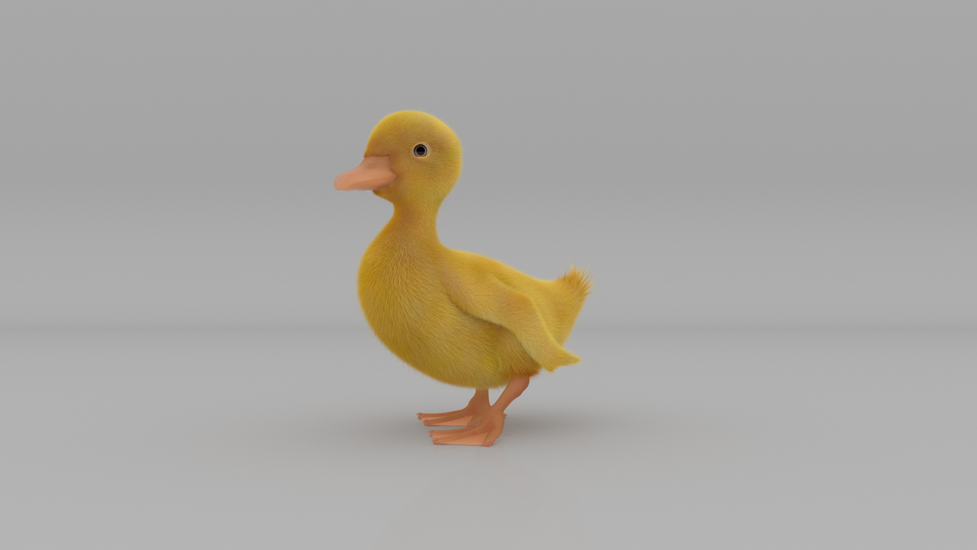 Duck Duckling FUR ANIMATED 3D Model - TurboSquid 1961967